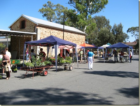 Hills and Plains Seedsavers: Urrbrae High Old Barn Market